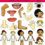 body parts clip art Archives - Clipart 4 School