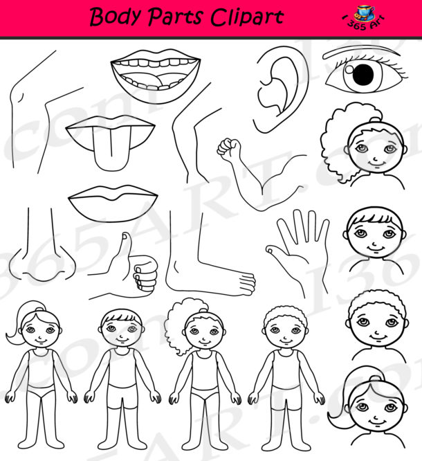 Body Parts Clipart Human Anatomy Set - Clipart 4 School