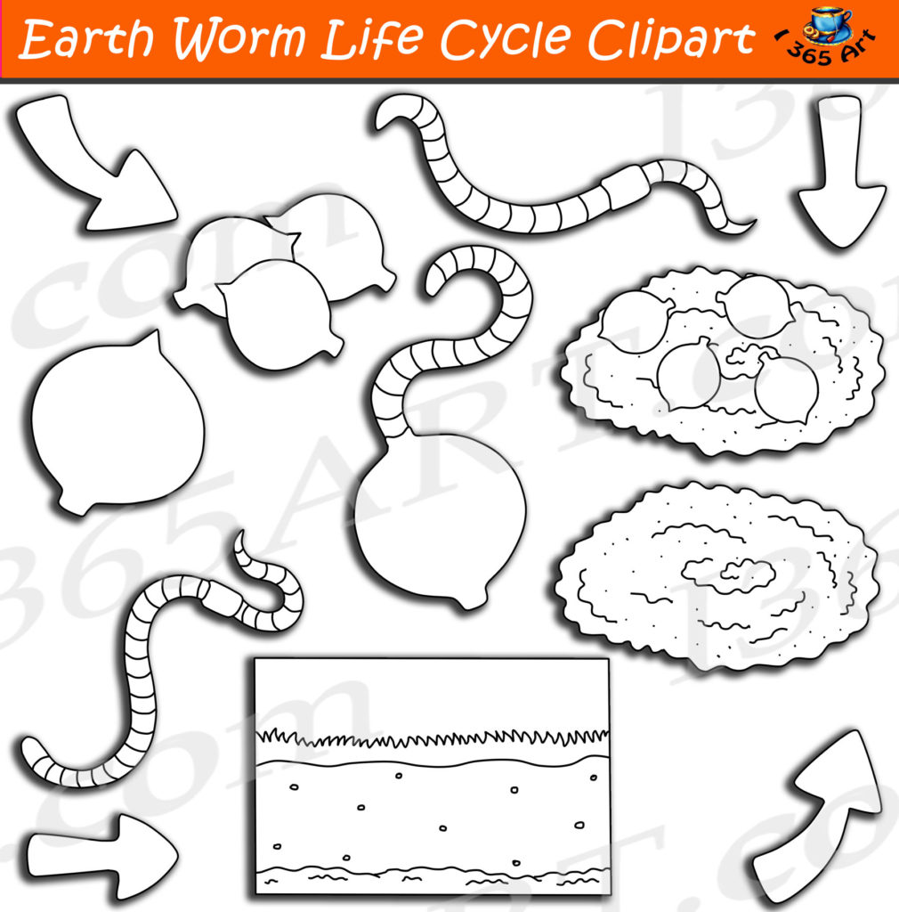 Earthworm Life Cycle Clipart Bundle - Clipart 4 School