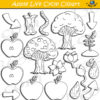 Apple Life Cycle Clipart Bundle Pack - Clipart 4 School