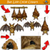 Bat Life Cycle Clipart Bundle - Clipart 4 School