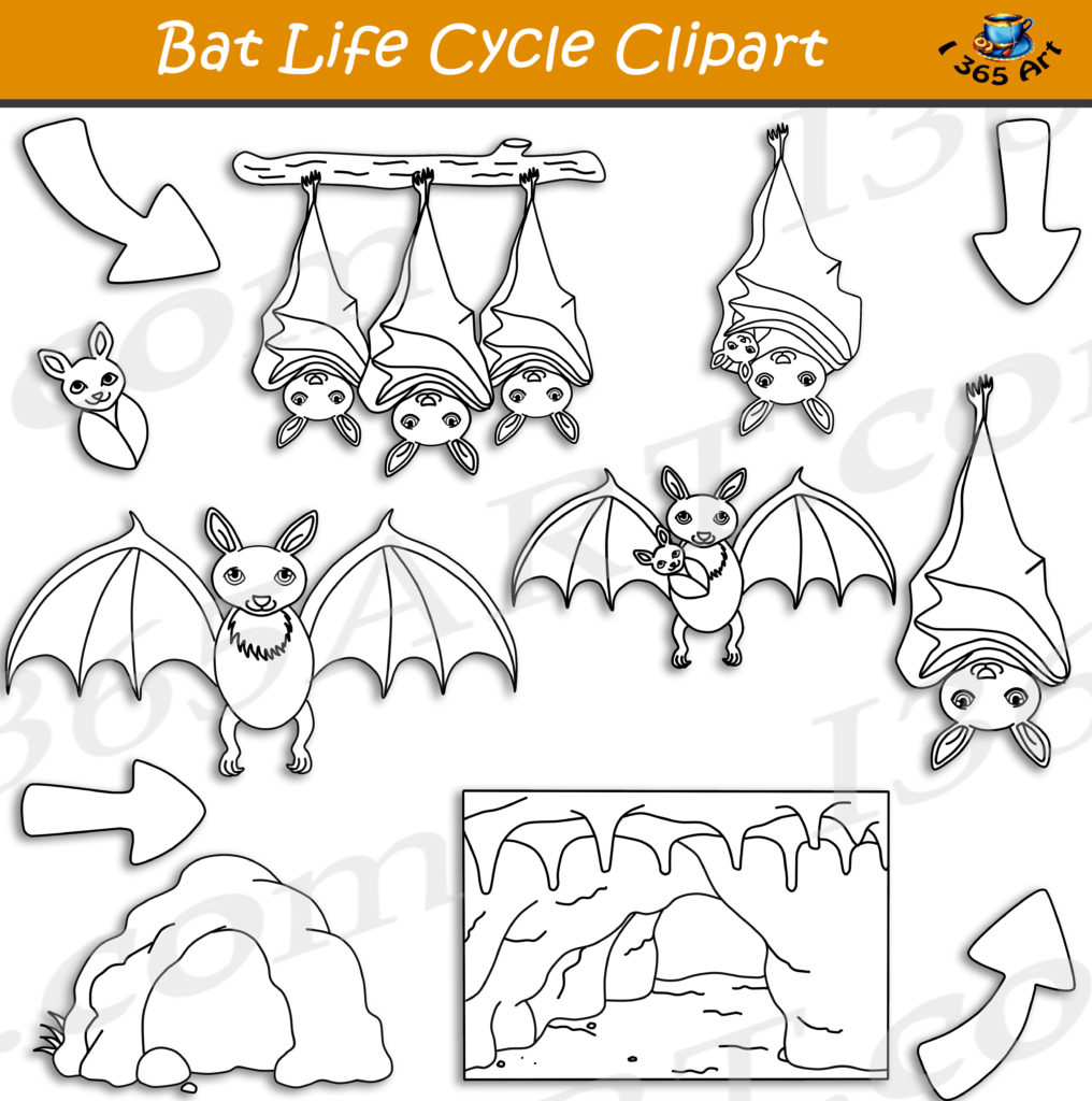 Bat Life Cycle Clipart Bundle - Clipart 4 School