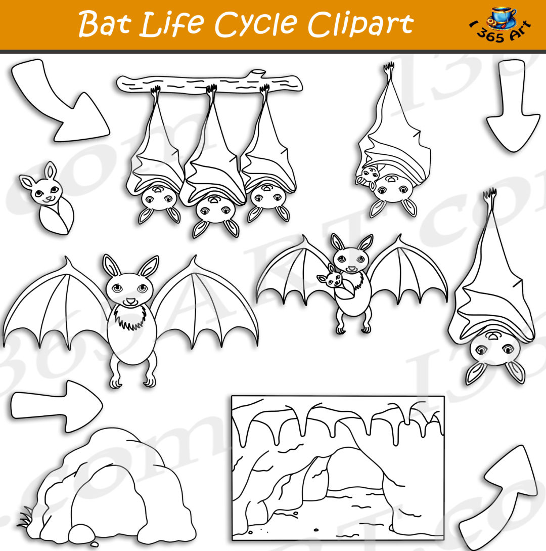 Bat Life Cycle Clipart Bundle - Clipart 4 School