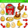Chicken Life Cycle Clipart Bundle - Clipart 4 School
