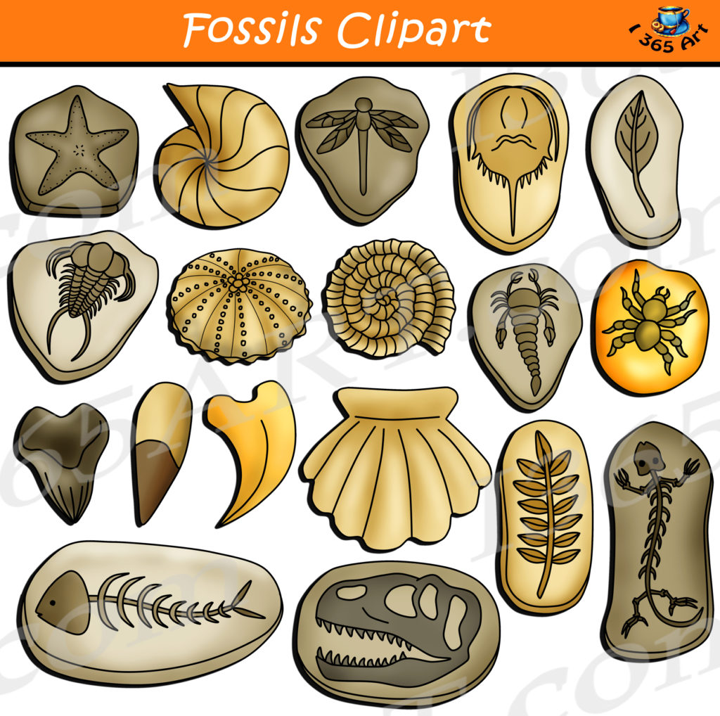 Fossils Clipart Download Earth Science - Clipart 4 School