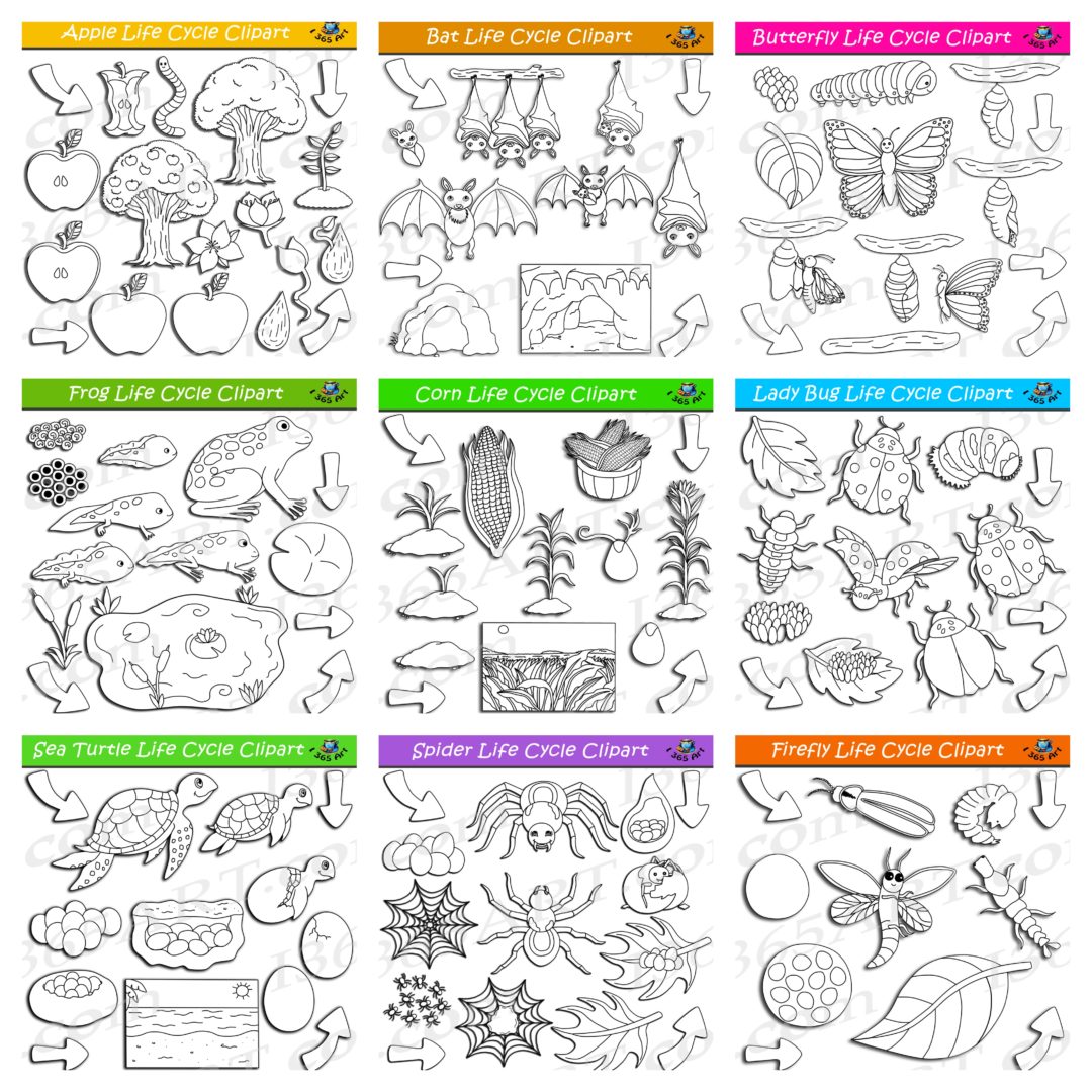 Nature Life Cycle Clipart Bundle #1 - Get 18 Sets in all! - Clipart 4 ...