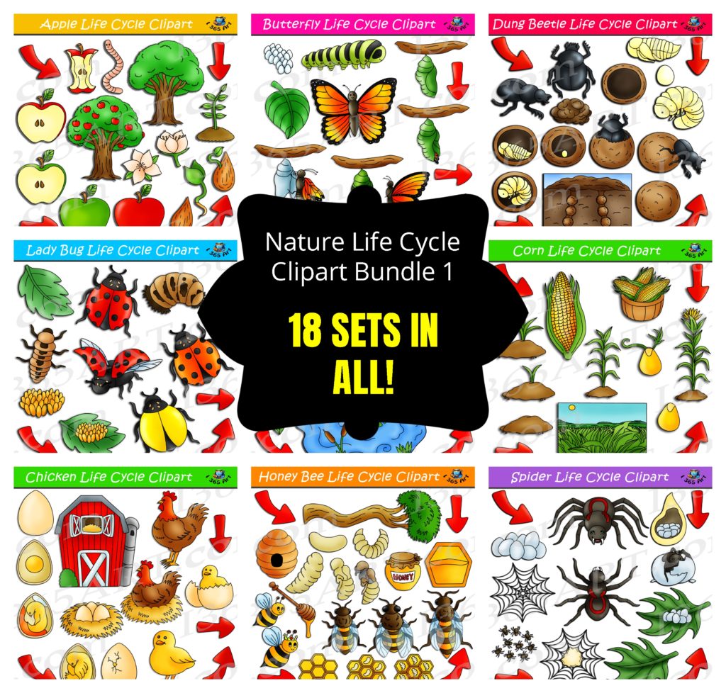 Nature Life Cycle Clipart Bundle #1 - Get 18 Sets in all! - Clipart 4 ...