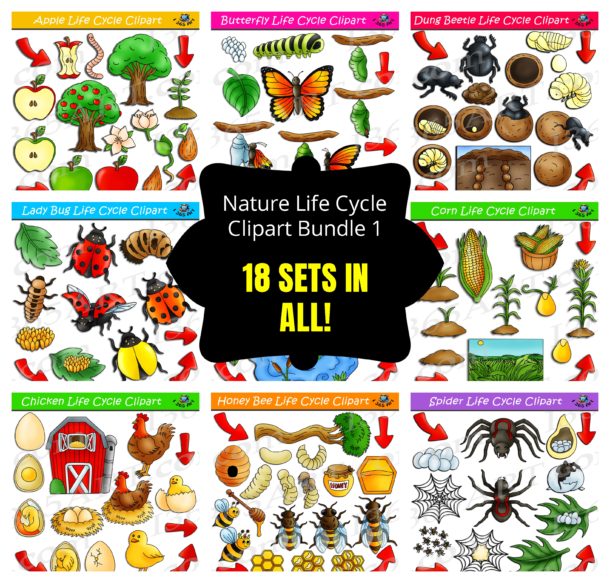 Nature Life Cycle Clipart Bundle #1 - Get 18 Sets in all! - Clipart 4 ...