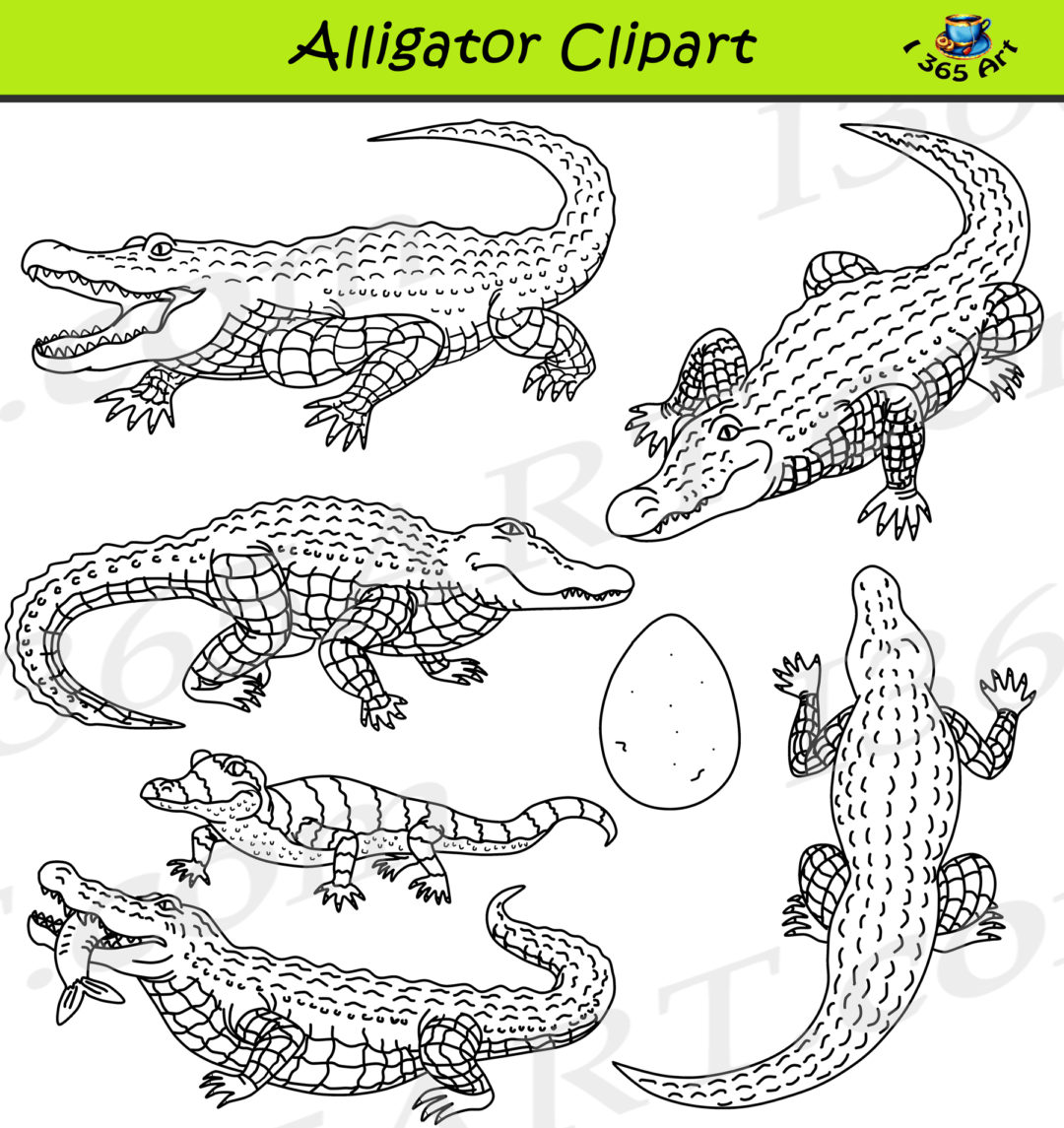 Alligator Clipart Set Graphics Download - Clipart 4 School