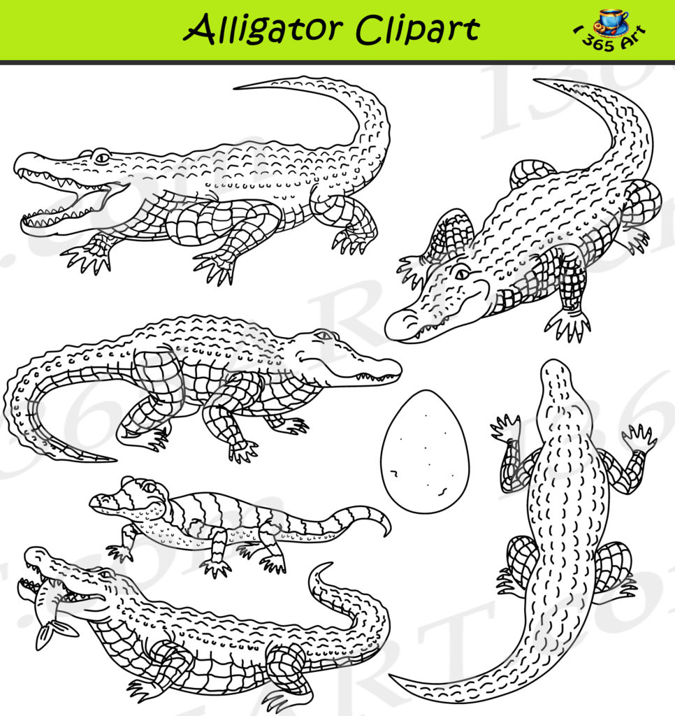 Alligator Clipart Set Graphics Download - Clipart 4 School