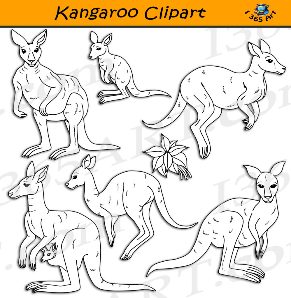 Kangaroo Clipart Set Graphics Download - Clipart 4 School