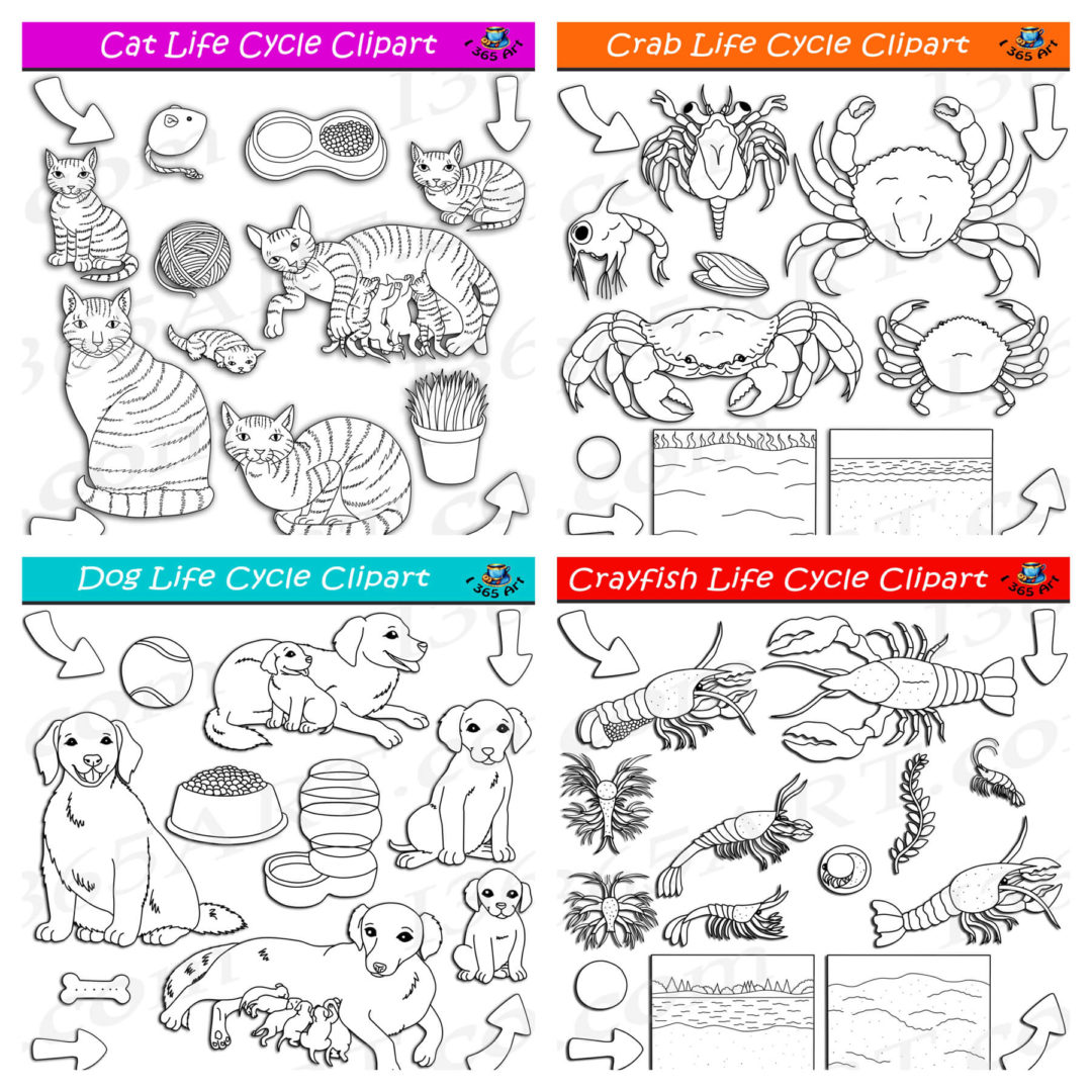 Nature Life Cycle Clipart Bundle #2 - Get 19 Sets in all! - Clipart 4 ...