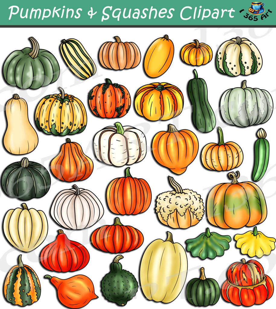 Pumpkins & Squashes Clipart Set Download - Clipart 4 School
