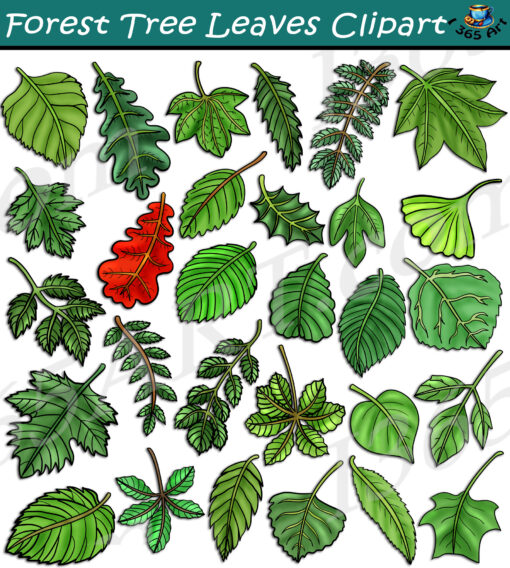 Forest Tree Leaves Clipart Download - Clipart 4 School