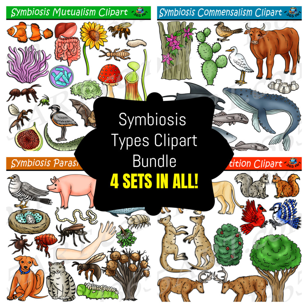 Symbiosis Clipart Bundle Set Download - Clipart 4 School