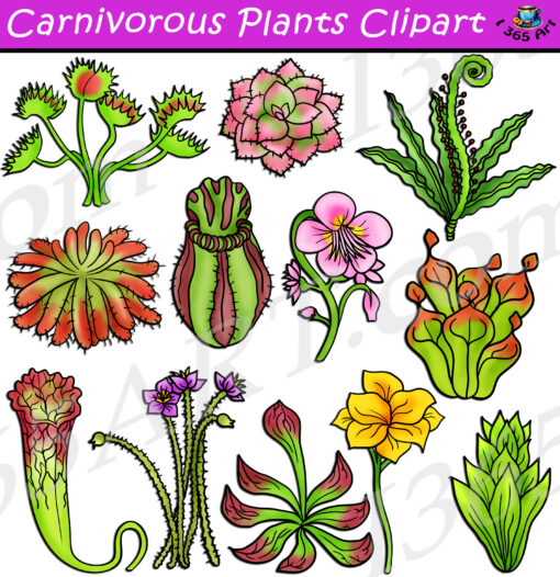 Carnivorous Plants Clipart Download - Clipart 4 School