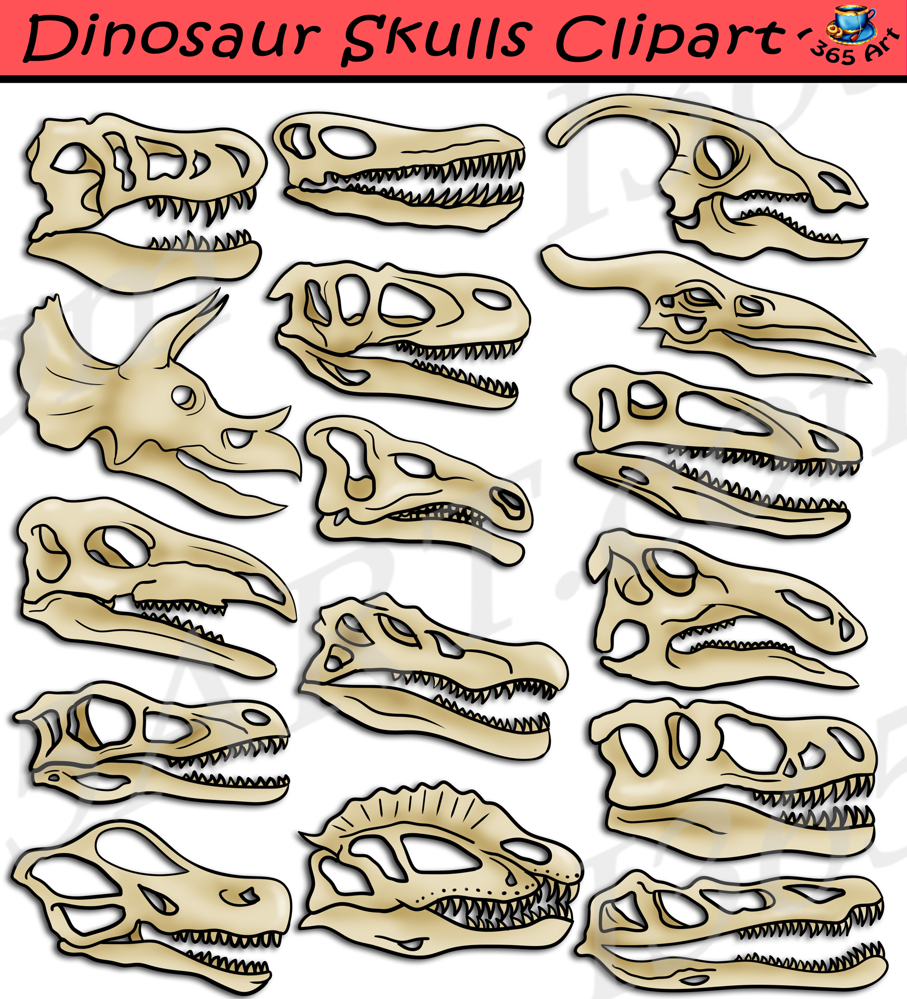 Dinosaur Skulls Clipart Download - Clipart 4 School